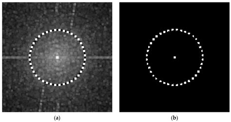 Watermarking Algorithm For Remote Sensing Images Based On Ring Shaped Template Watermark And