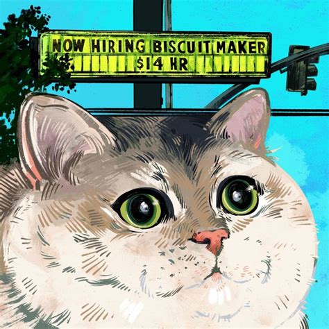 Humorous Cat Art Ideas Cat Eating A Cookie Drawing Kitty Biscuits We