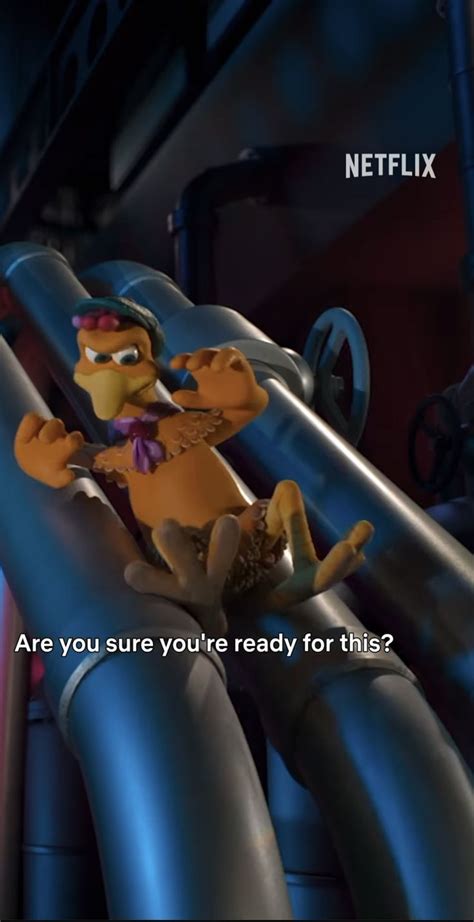 Pin By Mustard Lady On Chicken Run Chicken Runs Chicken Snapshots