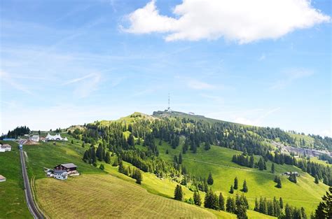 스위스 루체른 산들의 여왕 리기산 하이킹2 네이버 블로그