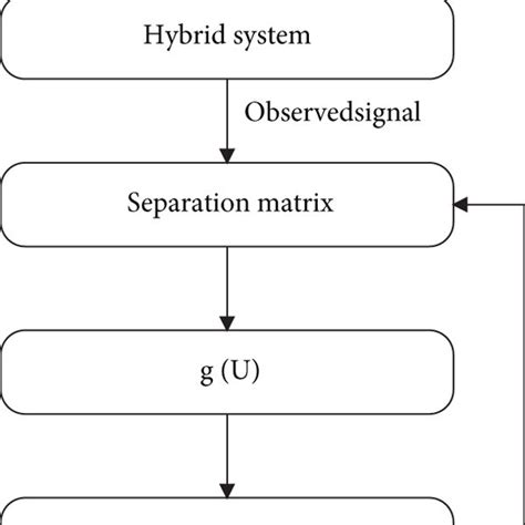 Principle Diagram Of Information Maximization Algorithm Download