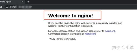 完全卸载nginx及安装的详细步骤 知乎