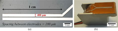 A Optical Image Of The Inject Printed Coplanar Capacitive Proximity