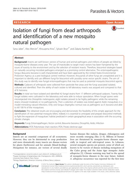 Pdf Isolation Of Fungi From Dead Arthropods And Identification Of A New Mosquito Natural Pathogen