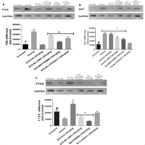 A Snapshot Representation Of The Densitometric Evaluation Of Agarose Download Scientific