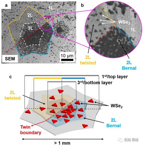 Acs Nano Effect Of Bilayer Graphene Microstructure On Nucleation Of