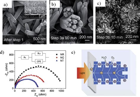 E SEM Images Of Different Nanostructures A Nanorods NR B Download Scientific Diagram