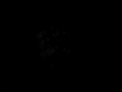 Primer Introduction To No Sql Databases And Mongodb Firesand