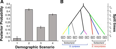 Inference Of Population Genealogy And Demography For Two European