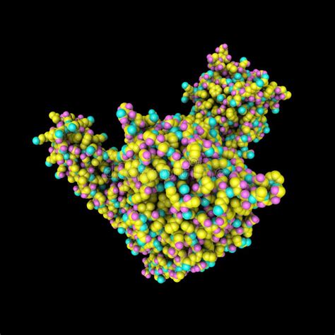 Molecular Structure Of The Tetanus Neurotoxin Produced By Clostridium Tetani Bacteria 3d