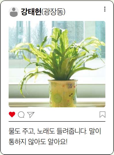 우리집 반려 나무식물를 소개합니다 아차산메아리