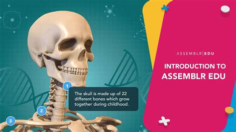 introduction to assemblr edu