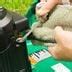 How To Remove a Spark Plug From a Lawn Mower (DIY)