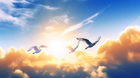 Best Big Bird Powerpoint Background For Presentation