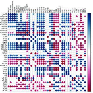 Pearson S Correlation Matrix Between Each Of The Morphological
