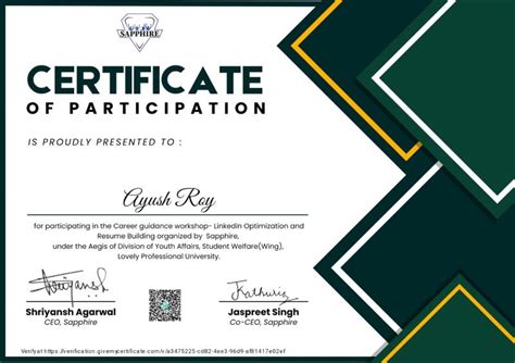 Ayush Roy On Linkedin Sapphirelpu Sapphirelpu Linkedin Resume Share