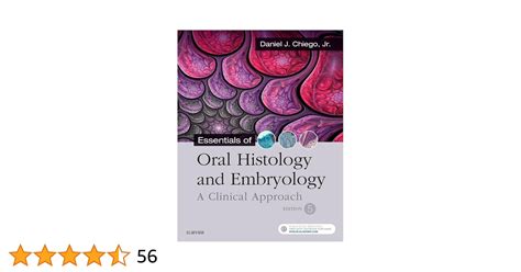 Histology Of The Oral Mucosa Histology And Embryology For Dental Hygiene
