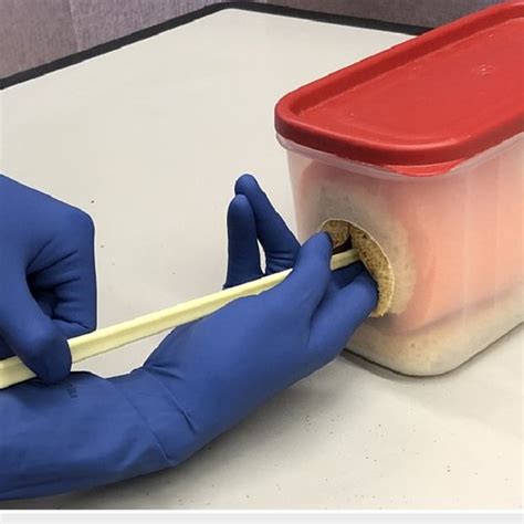 Learner Practicing Amniotic Membrane Rupture With Amniotomy Hook And Download Scientific