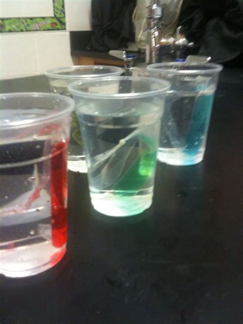 Simple Water Experiments To Explain Osmosis And Diffusion Science Lab Observing The Effects Of