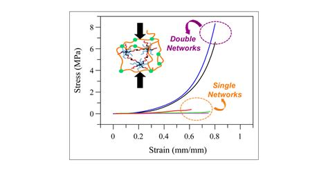 Double Networks Based On Amphiphilic Cross Linked Star Block Copolymer First Conetworks And