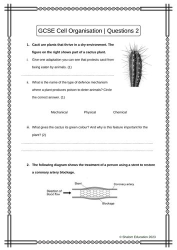 Gcse Biology Cell Organisation Practice Questions 2 Teaching Resources