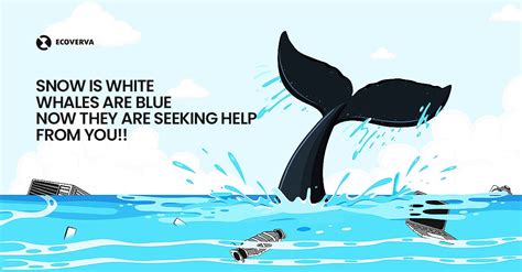 Sarthak Khare Posted On Linkedin