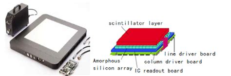DDA Detector Appearance And Structure Download Scientific Diagram