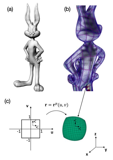 curvilinear quadrilateral nurbs parameterized patches rhino mcneel