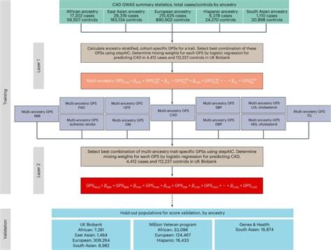 A Multi Ancestry Polygenic Risk Score Improves Risk Prediction For Institute For Precision