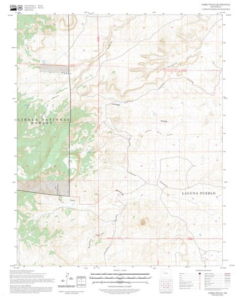 Cerro Tinaja Nm Fstopo Map By Us Forest Service Topo Avenza Maps