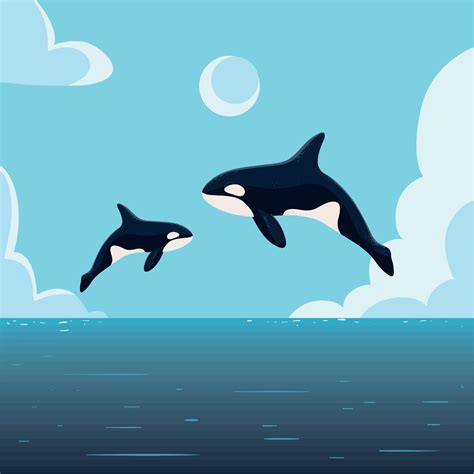 Jumping Orca Whales 11131844 Vector Art At Vecteezy