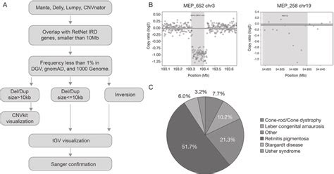 Analysis Workf Low And Clinical Information Of The Cohort A