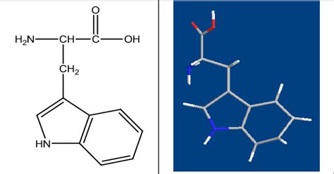 Chemical Structure Of And L Tryptophan Download High Quality