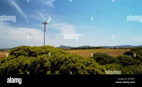 Field Of Grasshopper Stock Videos And Footage Hd And 4k Video Clips Alamy