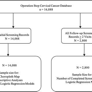 Choropleth Map Displaying State Of Residence Of 14 088 Women Screened Download Scientific