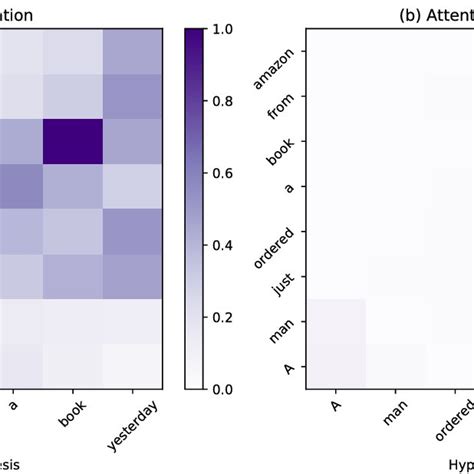 Normalized Attention And Saliency Attention Visualizations Of An