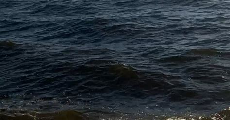 Тело мужчины достали из реки Ламны в Борском районе Новости Mail