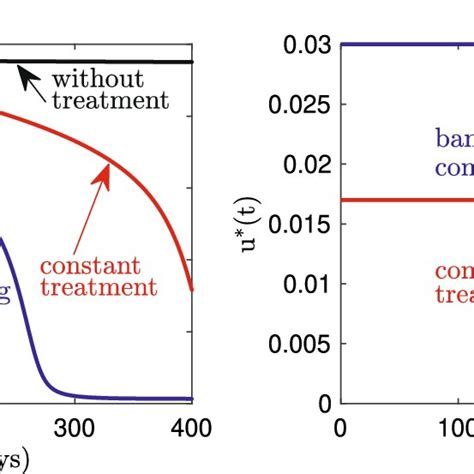 Illustration Of The G0 Cell Cycle Model With Both Normal Left And Download Scientific Diagram