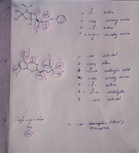 Solved Circle The Functional Groups And Name Them Chapter 14 19