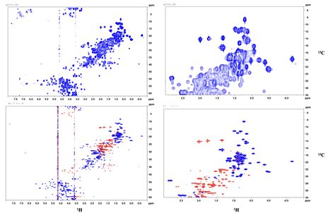 13c Hsqc Conventional Vs Constant Time How To Run Solution State Nmr Experiments