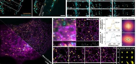 清华大学生命科学学院