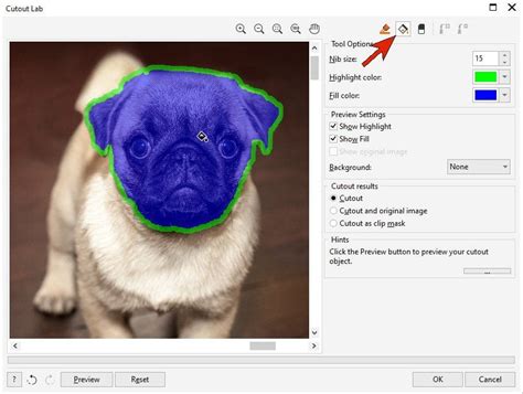 Photo Background Removal In PHOTO PAINT Corel Discovery Center