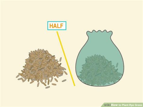 4 Ways To Plant Rye Grass Wikihow