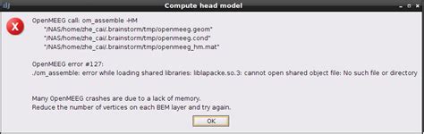 show in file explorer and openmeeg lib error brainstorm