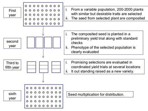 Difference Between Mass Selection And Pureline Selection Mass