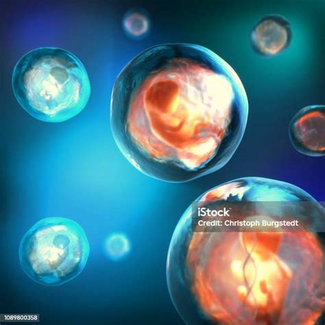 3d 일러스트는 태아의 유전자 변형 태아 Dna 가닥으로 투명 한 거품에 갇혀 개발에 대한 스톡 사진 및 기타 이미지 개발 배아 세포 Istock