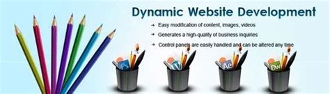 Dynamic Website Design In Jaipur ID