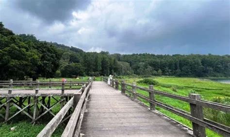 Danau Buyan Di Buleleng Camping Spot Foto Tiket Masuk