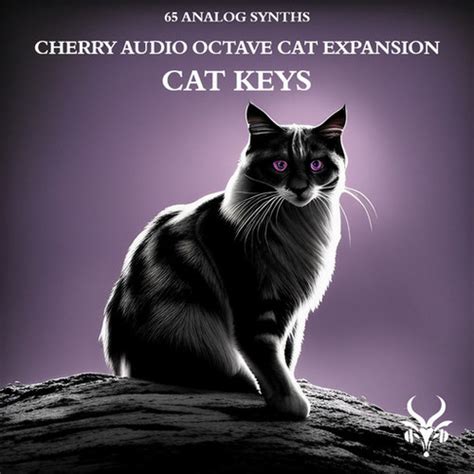 Cherry Audio Octave Cat Presets Cat Keys Octave Cat Patches