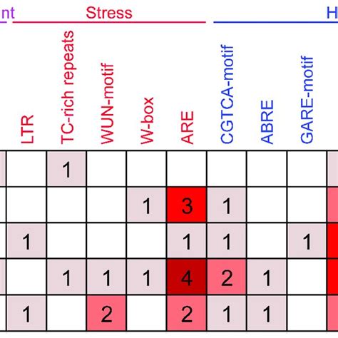 Analysis Of Development Hormone And Stress Related Cis Elements In Download Scientific